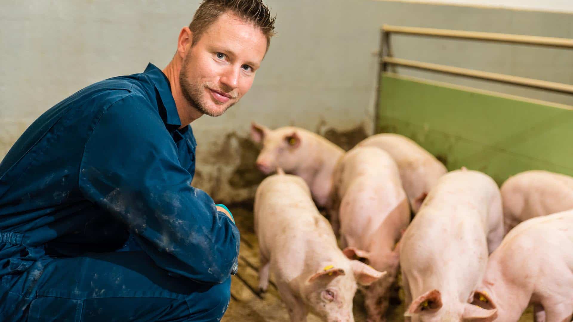 Nieuw: Volg de HyCare specialist - HyCare