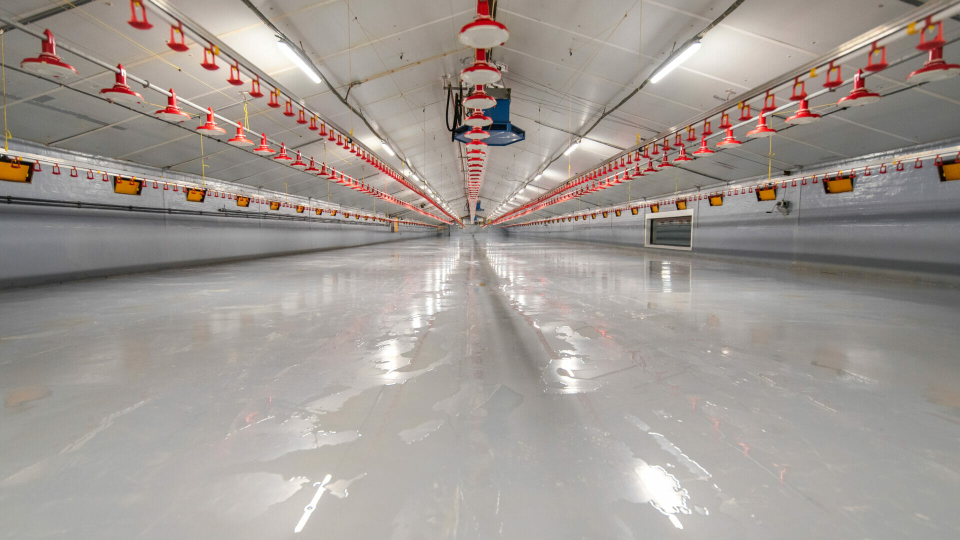 Bouwstenen coccidiostaticavrij en onderzoek - HyCare